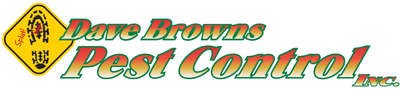 Pest Control Serving Chico, CA | Dave Brown Pest Control